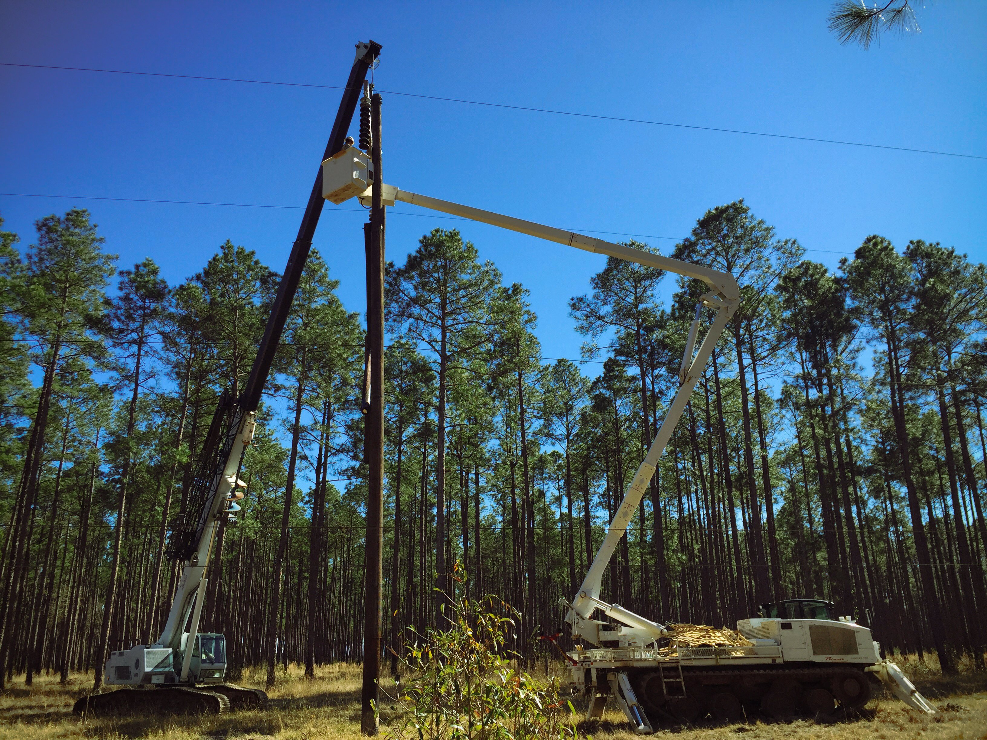 Panther Crawler Carriers - Power Electric - Prinoth