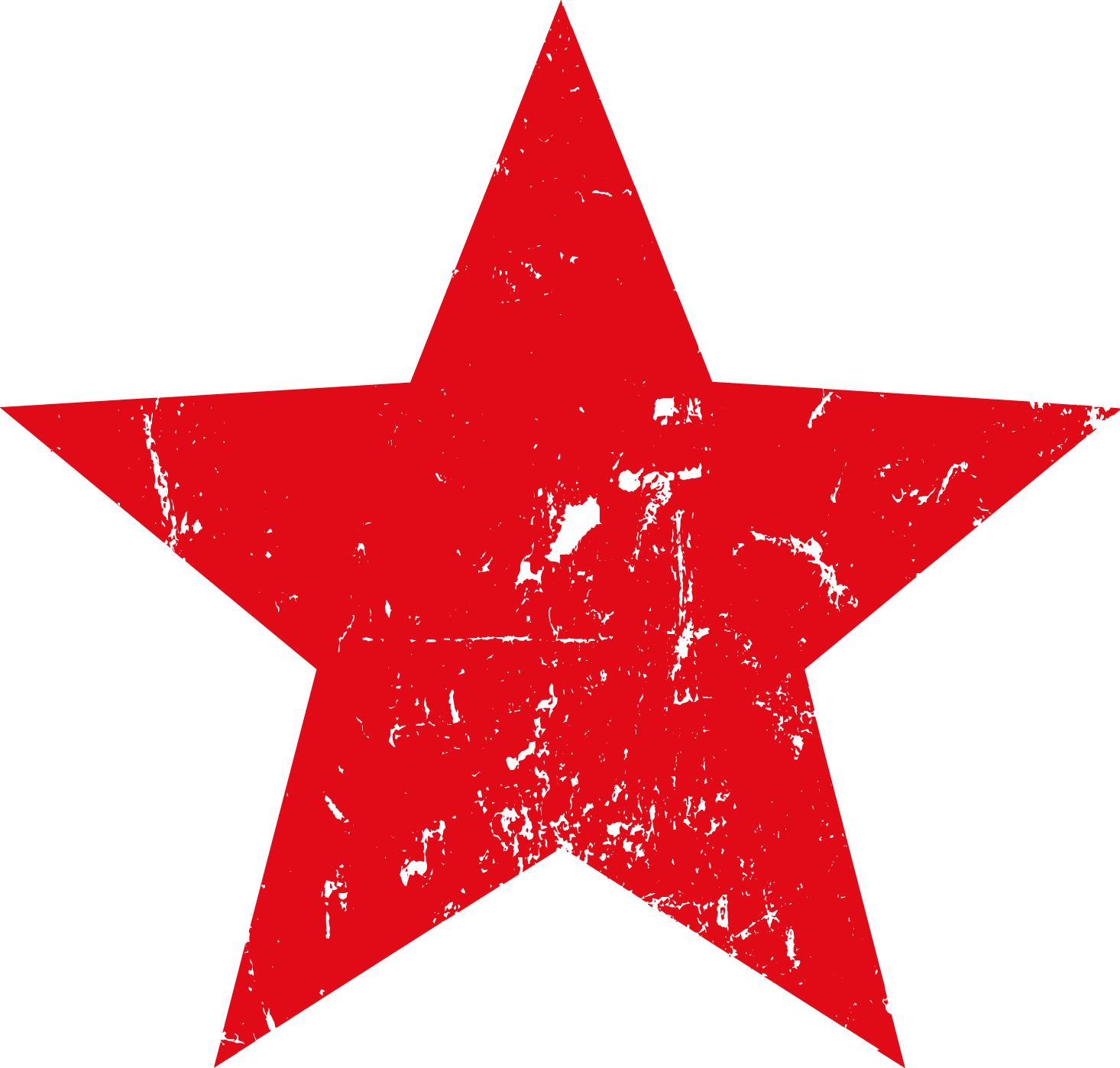 SW50 - Tracked Snow Plow - Prinoth