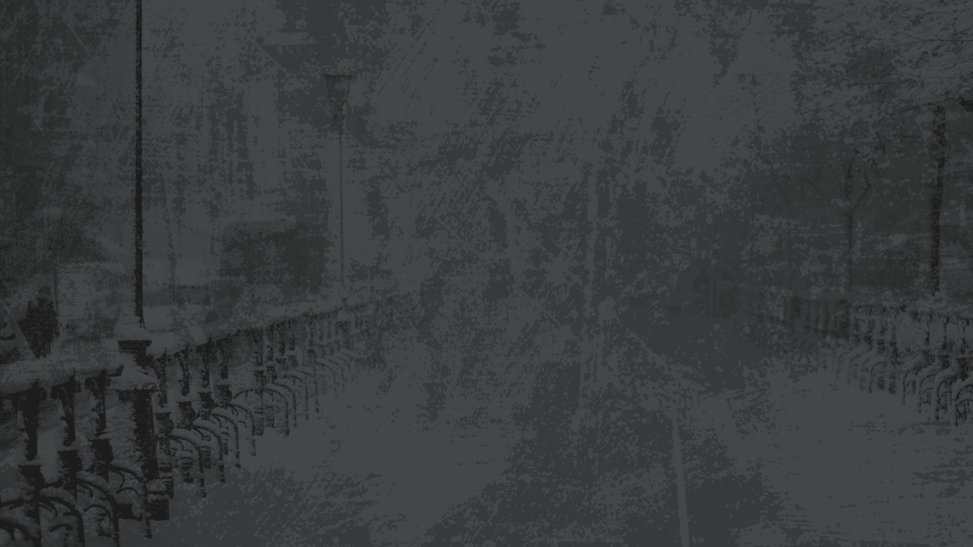 SW50 - Tracked Snow Plow - Prinoth