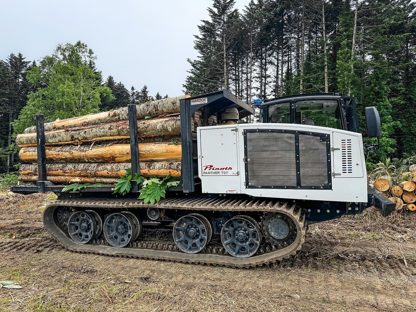 News & Updates - Prinoth